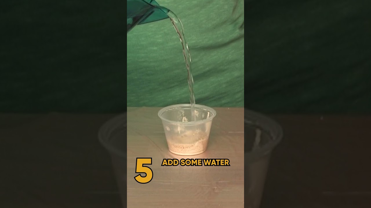 How to make a terrifying frothing at the mouth pumpkin- Go to ...