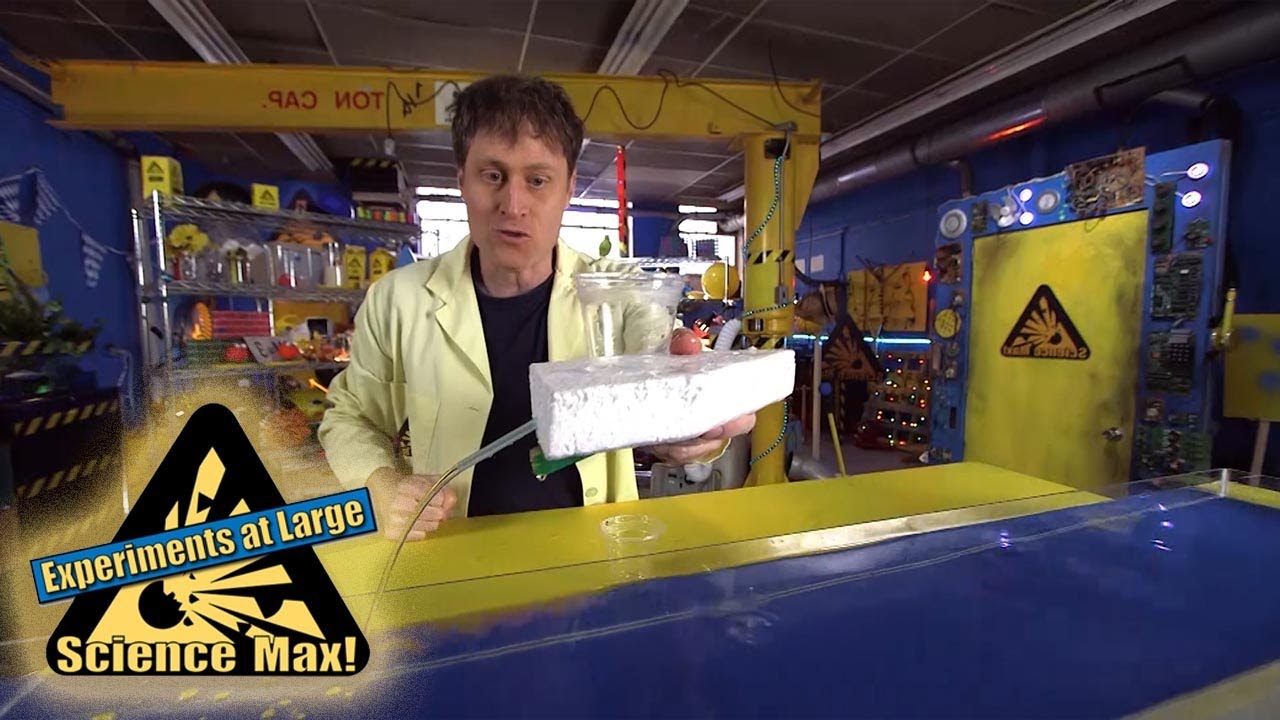 Science Max | MINI MAX! | Gravity Boat | Learn Science - Video Kidibot